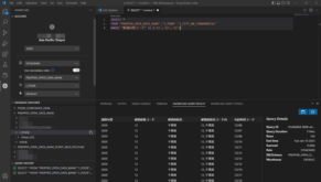 【Snowflake】Visual Studio CodeのSnowflake拡張機能を使ってみた | truestar Blog